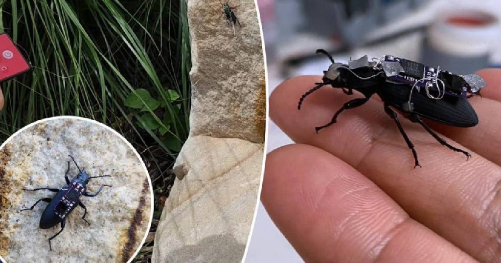 Bokep tobrut terabox i was eager to book an meeting with