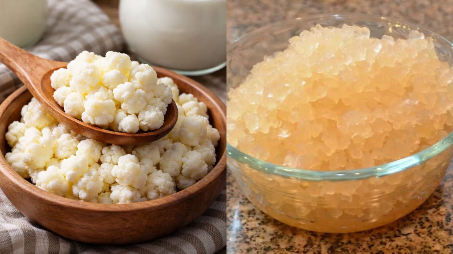 Kéfir de leche o de agua: Diferencias, beneficios y cómo elegirlos - KCH FM