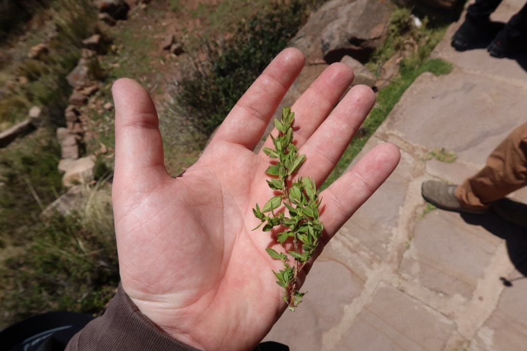 Sam Smith cautivado por Perú: "Mi corazón desborda de gratitud" - KCH FM