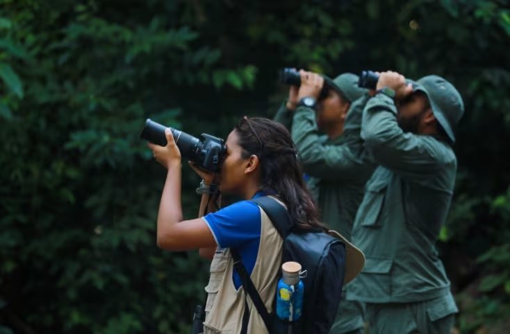Panamá rompe récord con 790 especies de aves en 24 horas durante Global ...